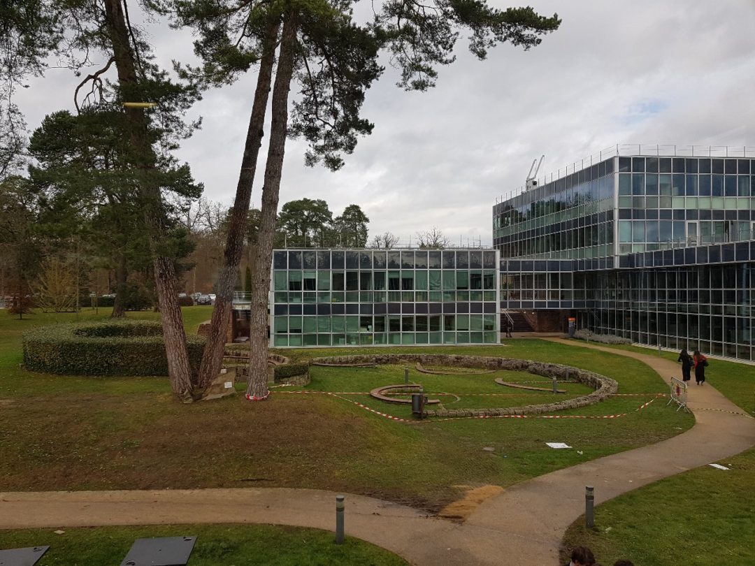 The INSEAD MBA Program: A Complete Overview